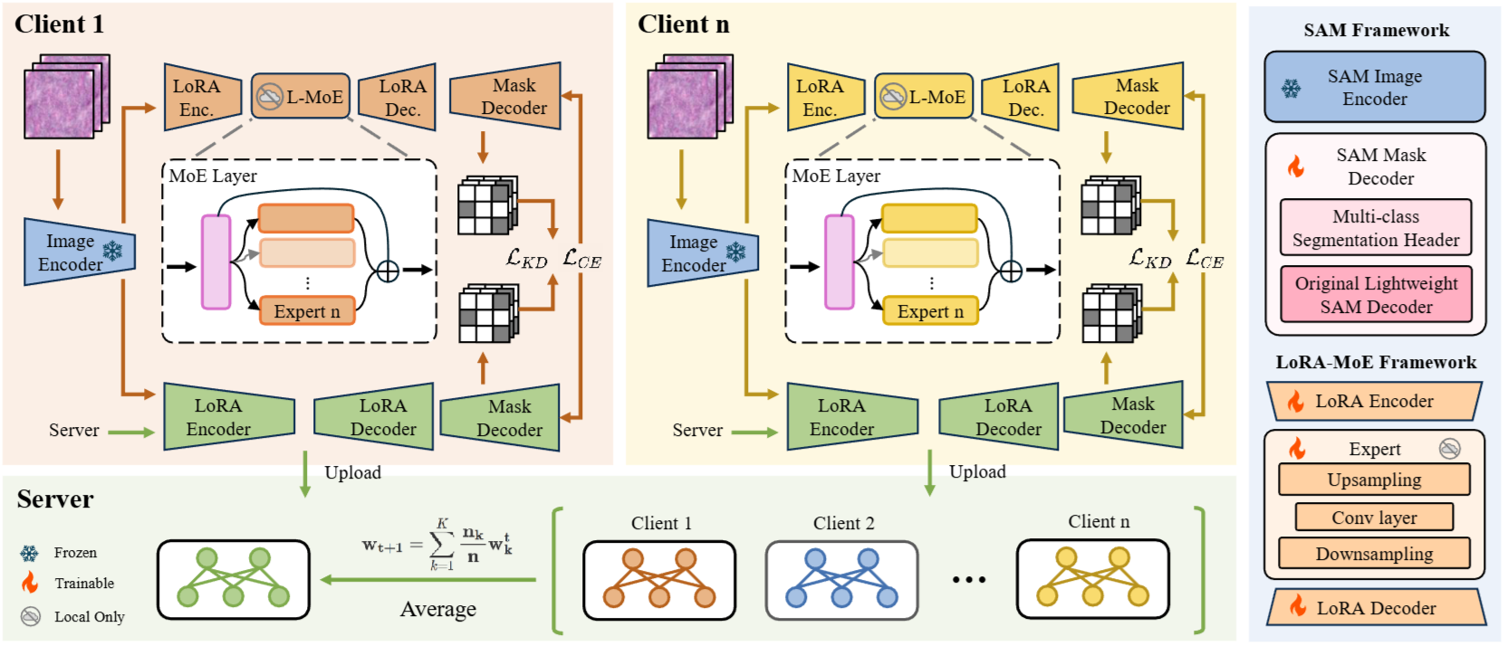Linghao Zhuang | 庄凌浩